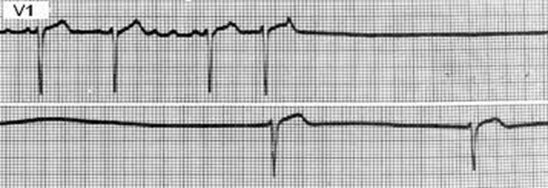 Pagrindinis | Vilniaus paslaugų verslo profesinio mokymo centro VMA